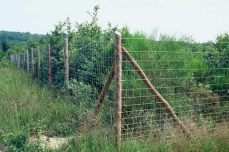 Stavby oplocenek :: LESKOMP